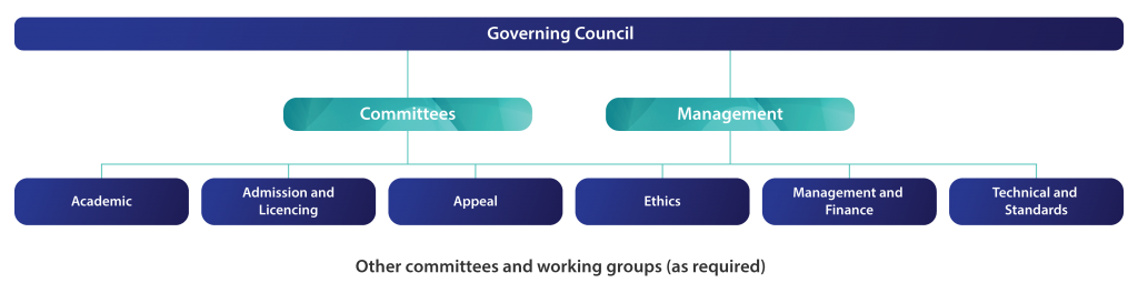 Governance Structure – Institute of Chartered Accountants of the Maldives