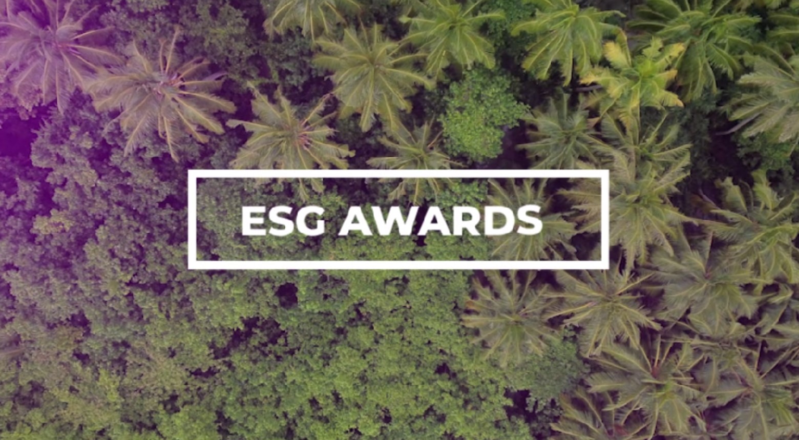 CA Maldives in collaboration with CMDA and PCB launches ESG Reporting ...